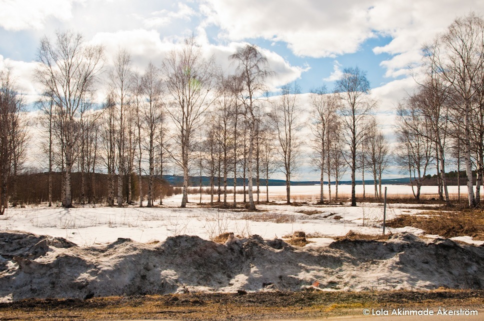 Postcard: Subarctic Sweden - Lola Akinmade