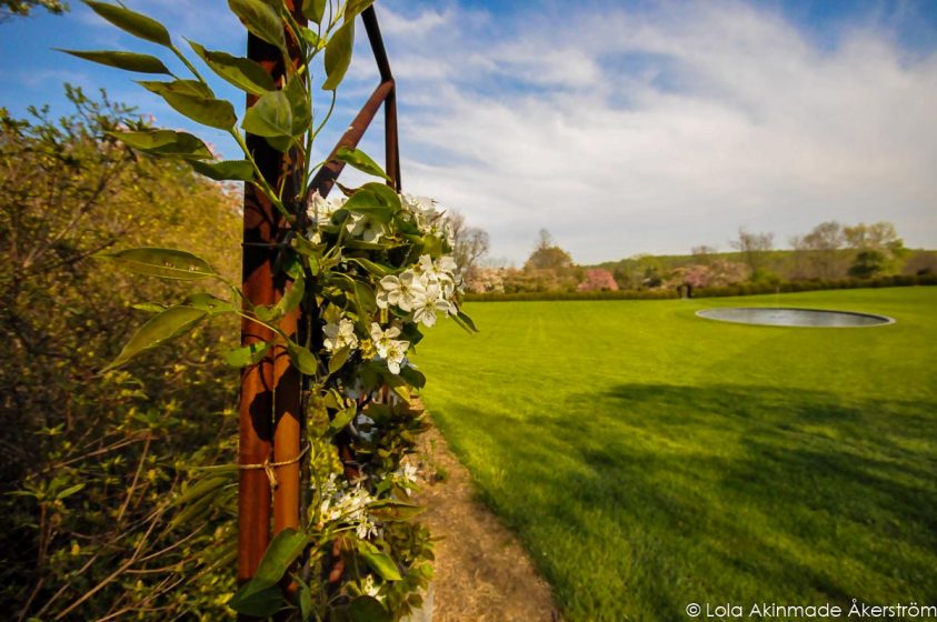 Photo Tip: How to create depth in landscape photos - Lola Akinmade