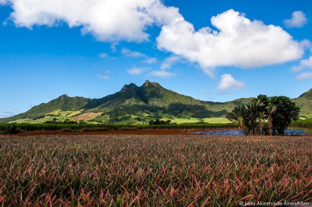 20 interior landscape photos of Mauritius - Lola Akinmade