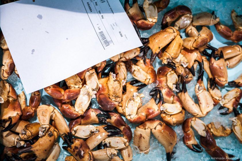 Gothenburg Files: Inside the Fish Auction in Photos - Lola Akinmade