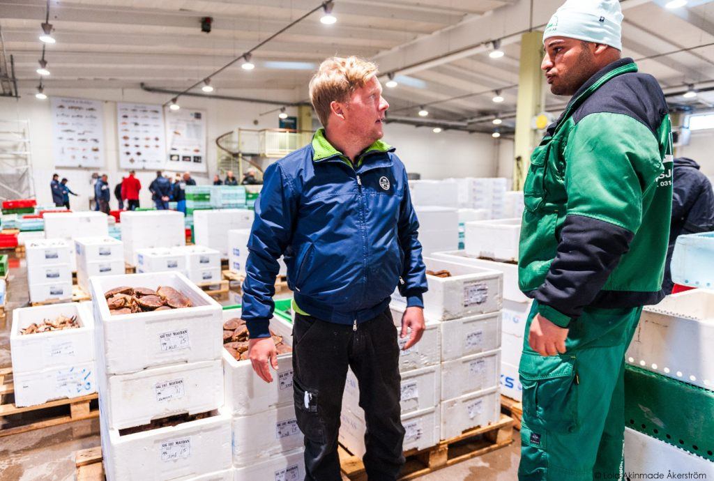 Gothenburg Files: Inside the Fish Auction in Photos - Lola Akinmade