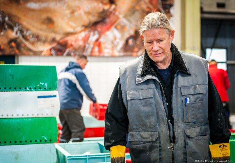 Gothenburg Files: Inside the Fish Auction in Photos - Lola Akinmade