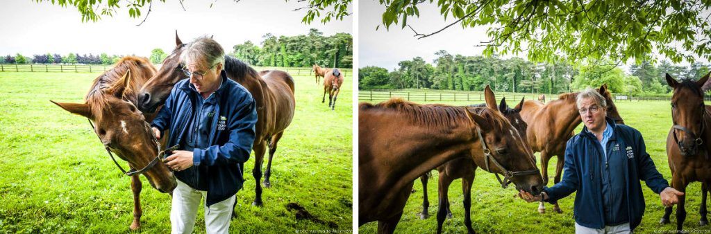 Irish Files: Where Irish Studs Hang Out - Lola Akinmade