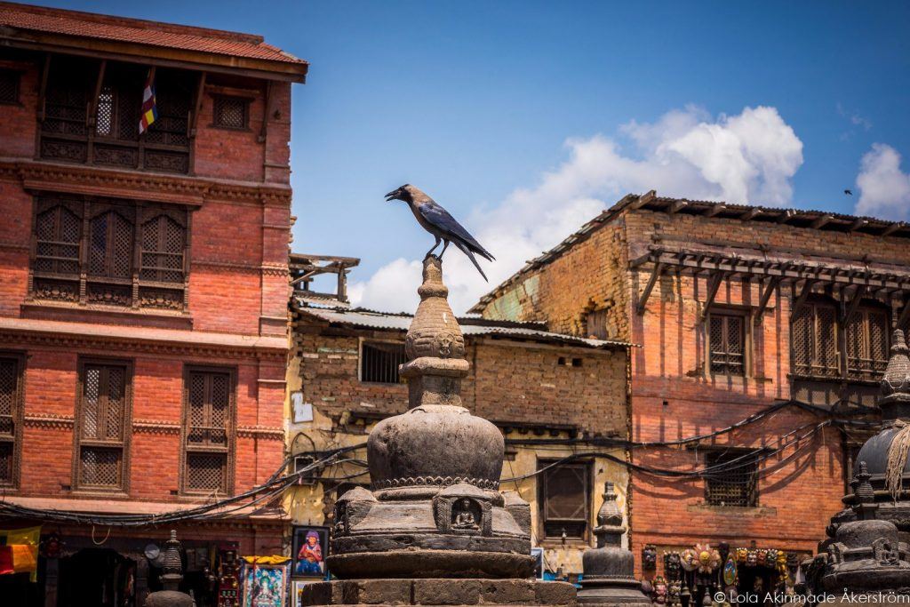 72 Nepal Photos + Video: Local Living in Panauti - Lola Akinmade