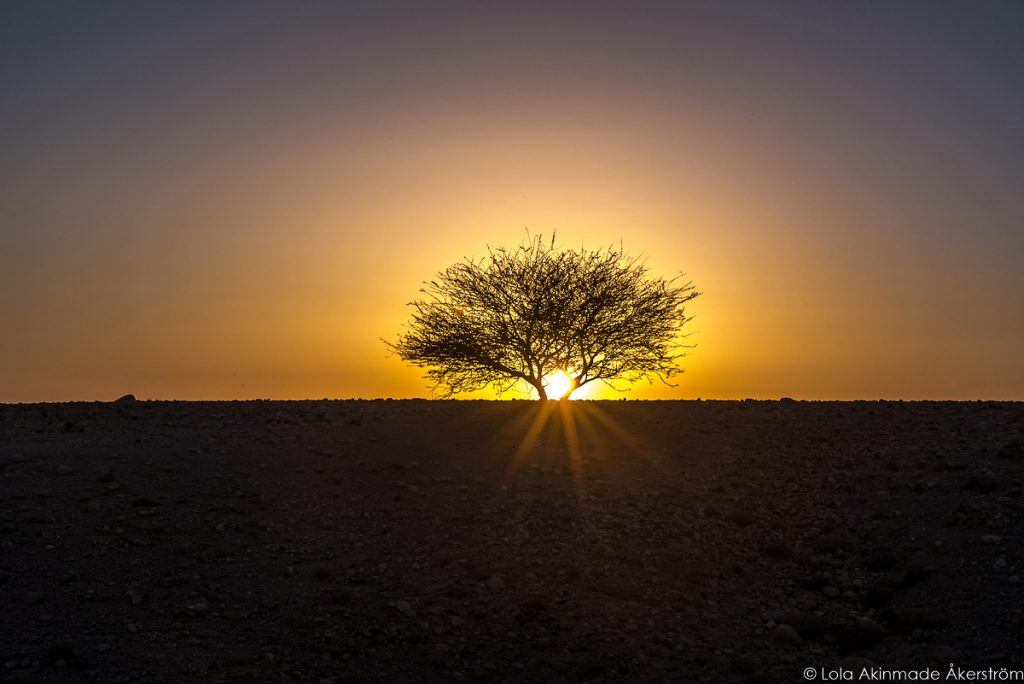 In Photos + Video: Why I fell for Jordan - Geotraveler's Niche - Lola ...