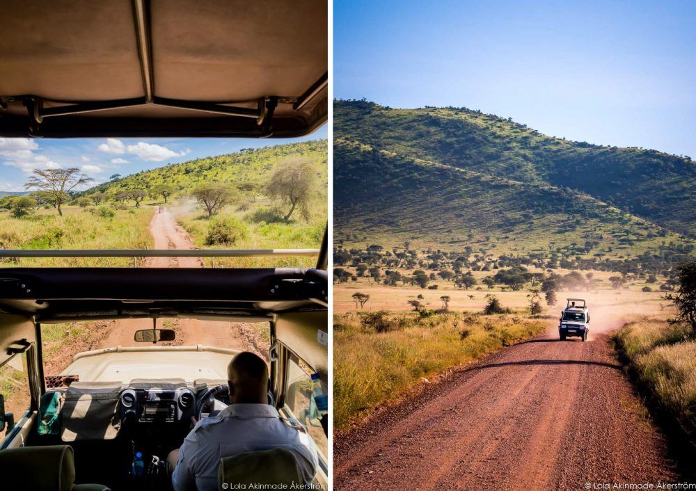 Photos + Video: My Ultimate Serengeti Safari Experience with Four ...